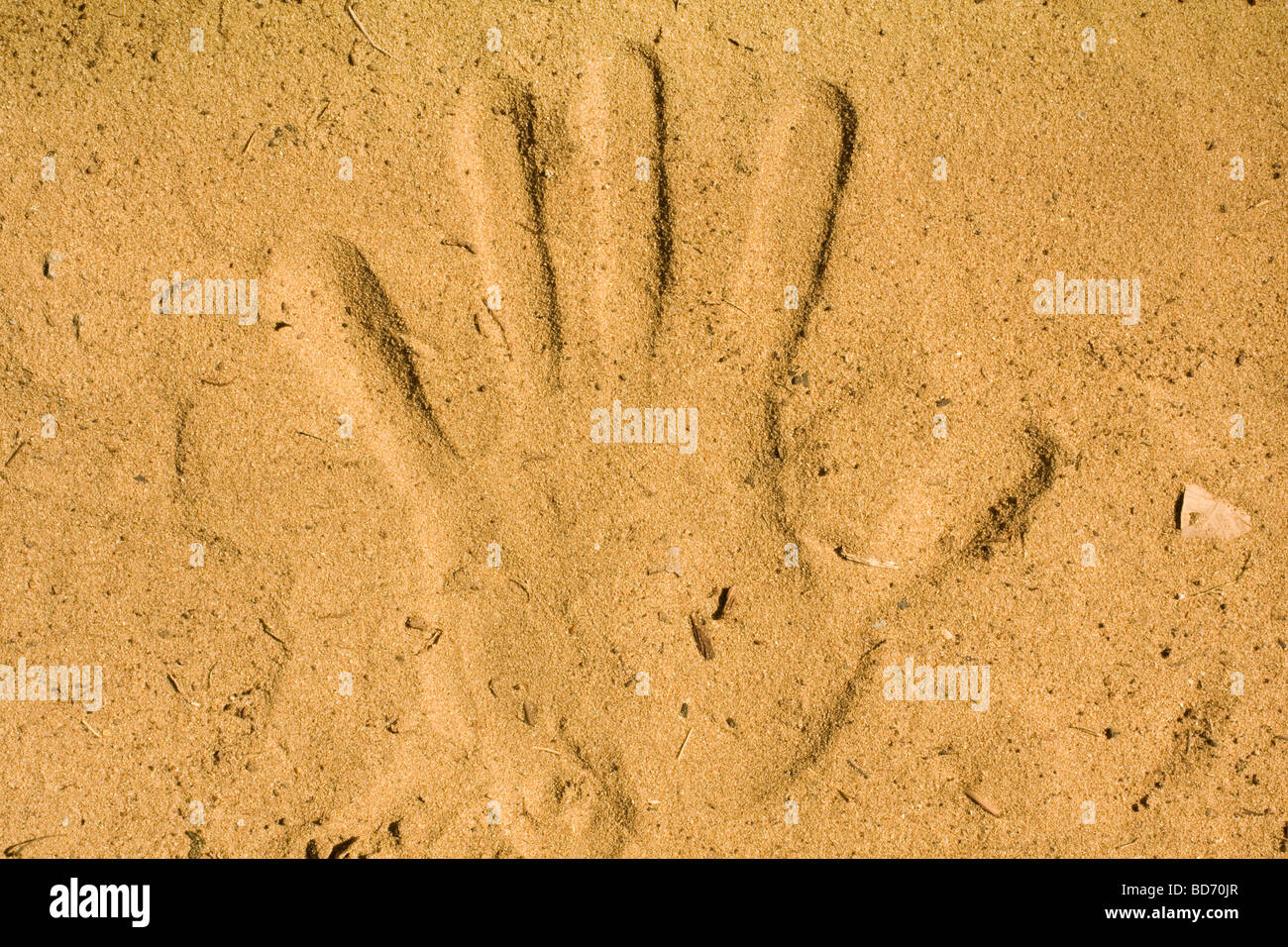 Hand imprint in dry sand Stock Photo - Alamy
