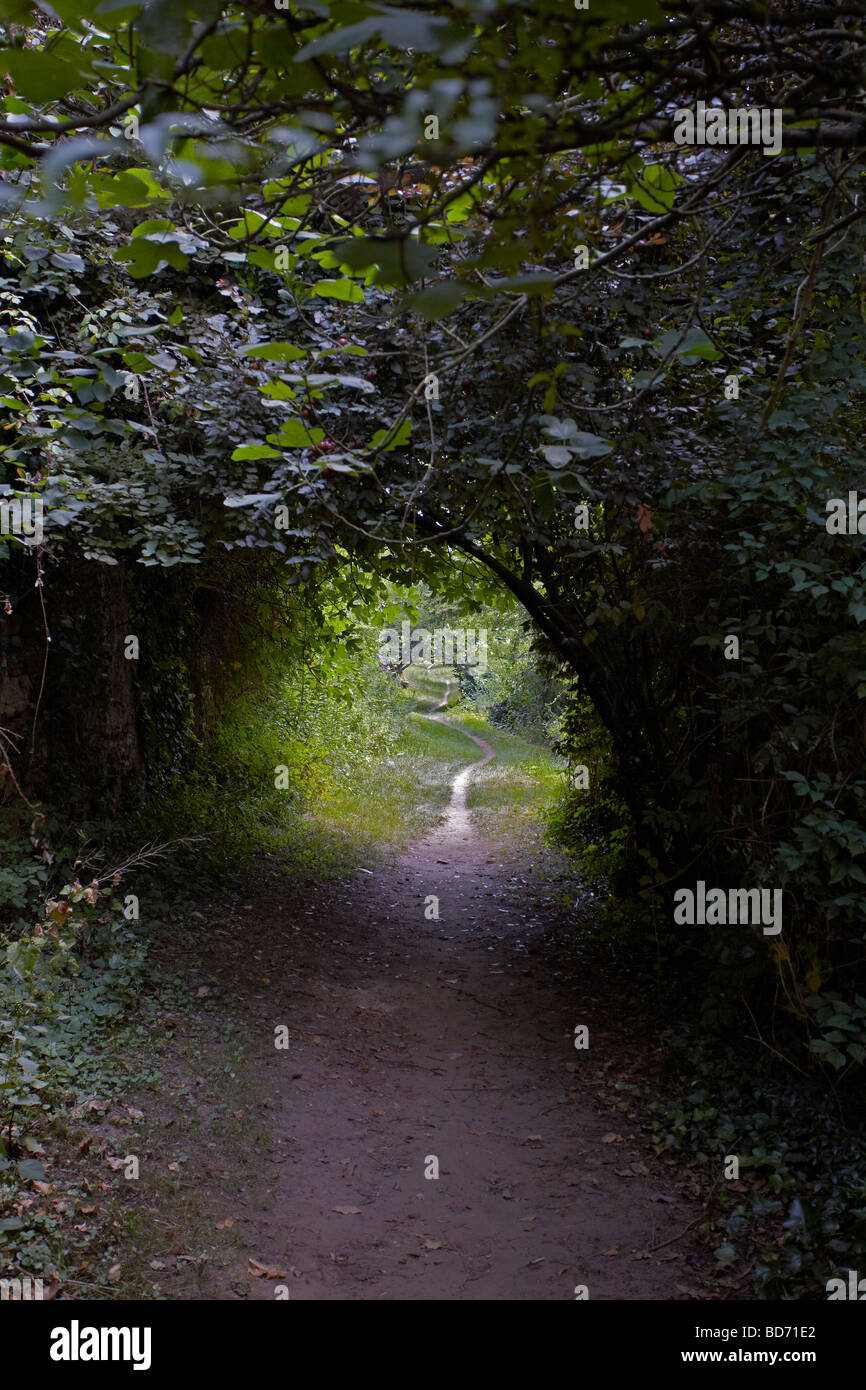 Hollow Ways High Resolution Stock Photography and Images - Alamy