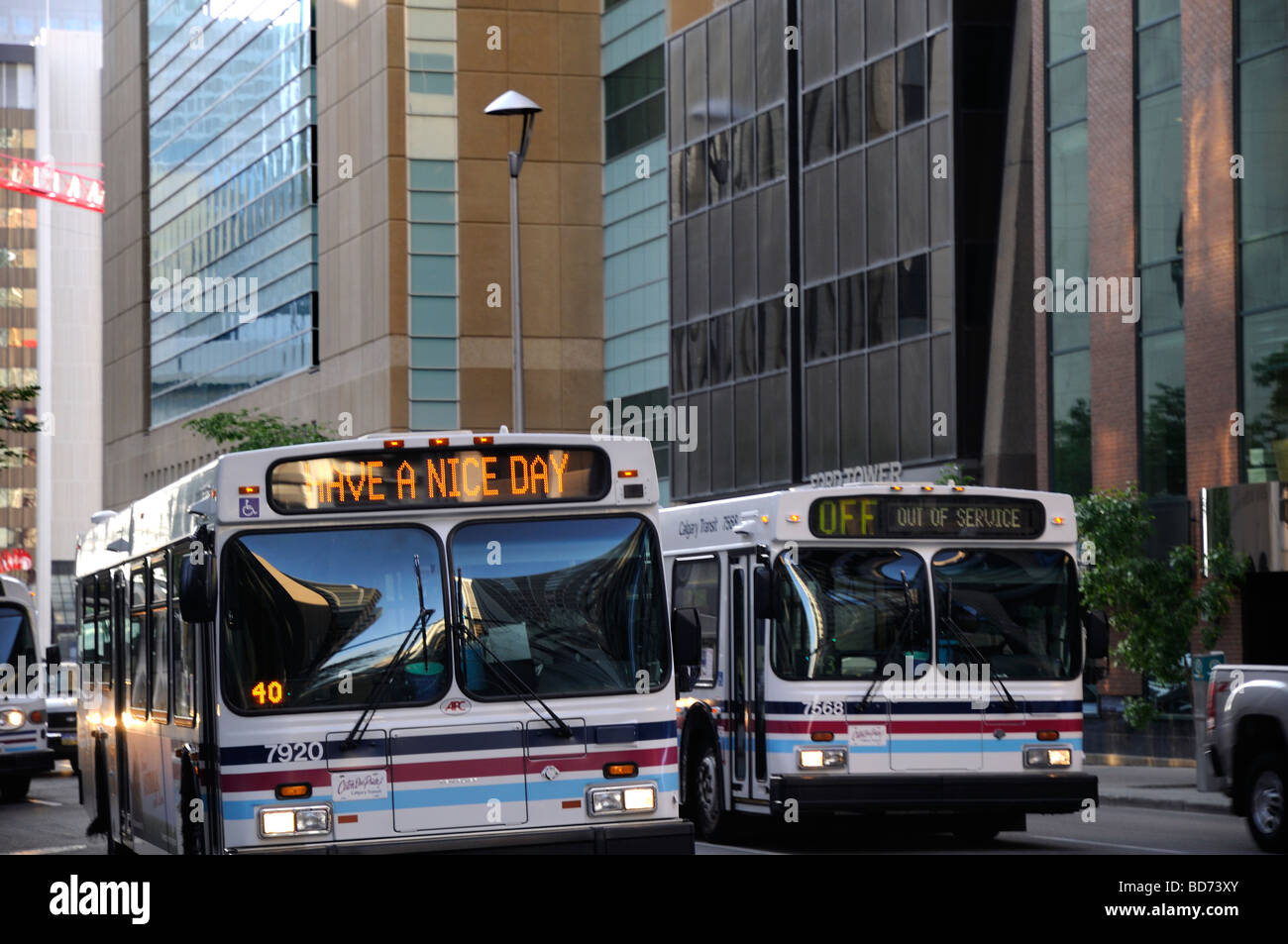 Have a nice Day bus in Calgary which is the largest city in the ...