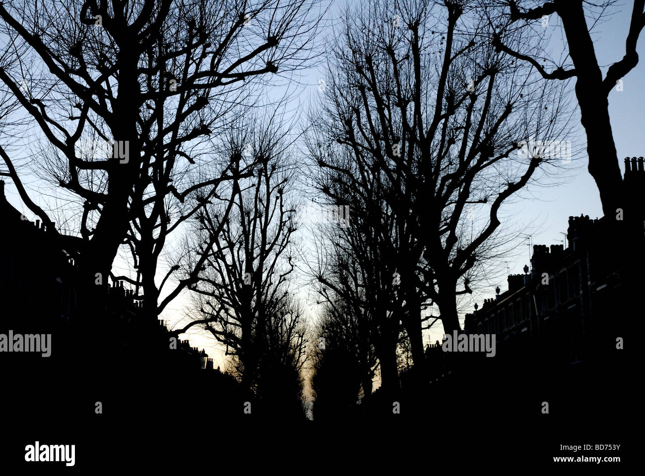 Tree Lined St Stock Photo - Alamy