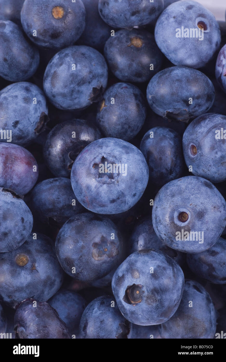 Close up of blueberry fruits Stock Photo - Alamy