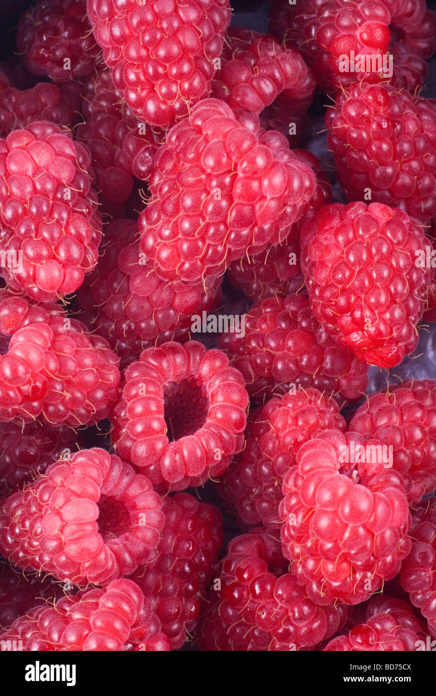 High concept raspberries hi-res stock photography and images - Alamy