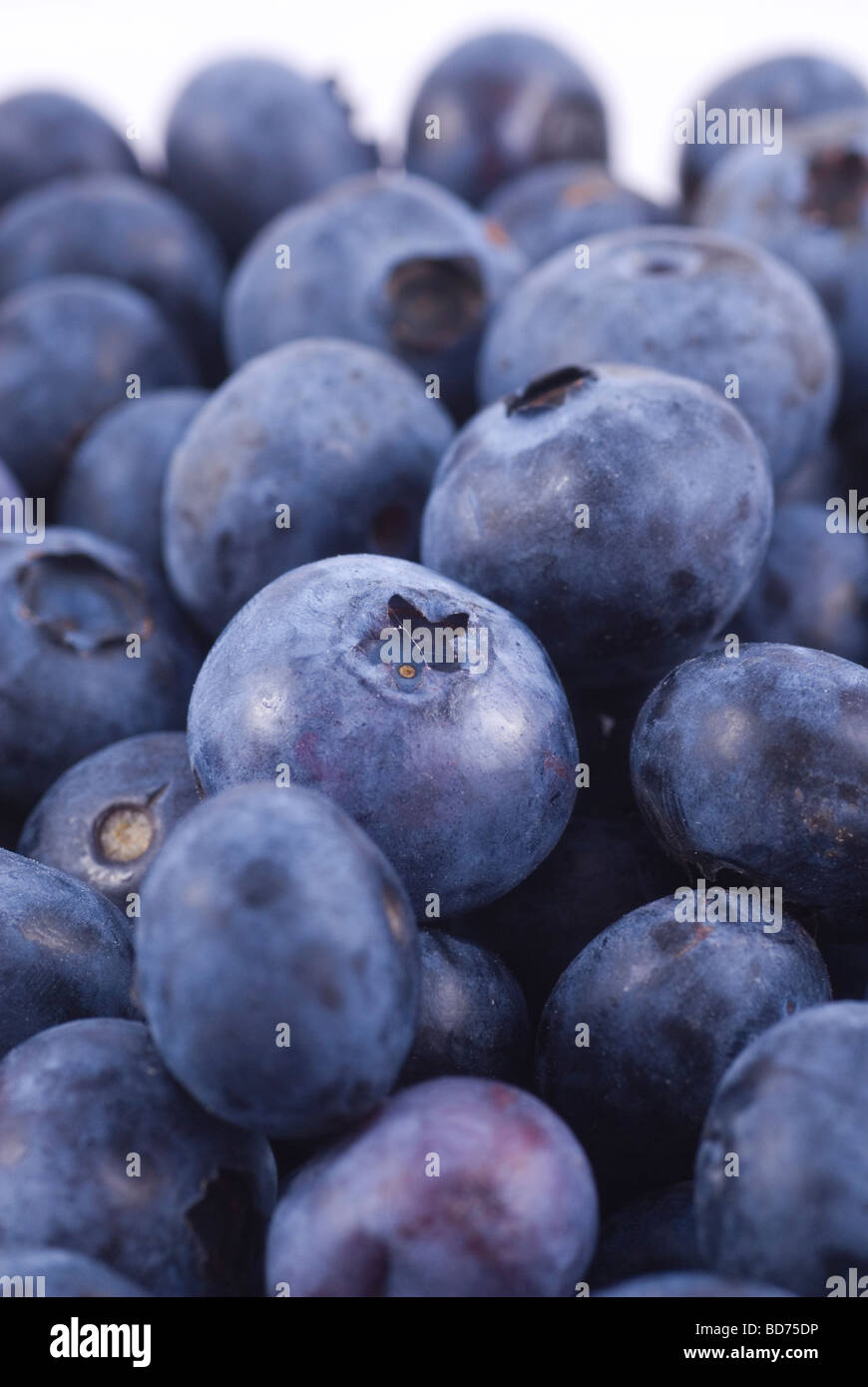Pile of blueberry fruits Stock Photo - Alamy