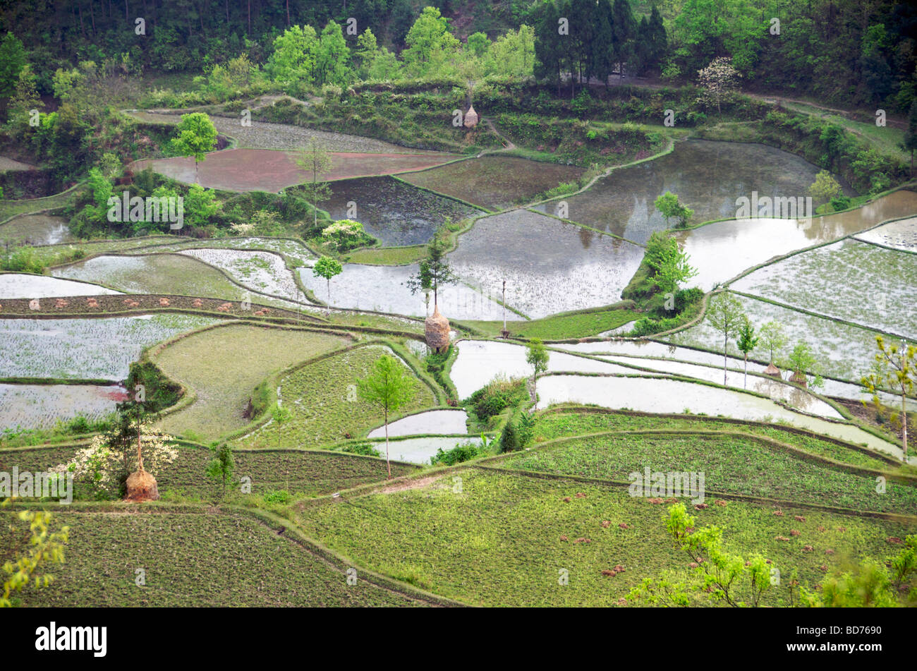 Aerial view flooded rice terraces and fields Guizhou Province China ...
