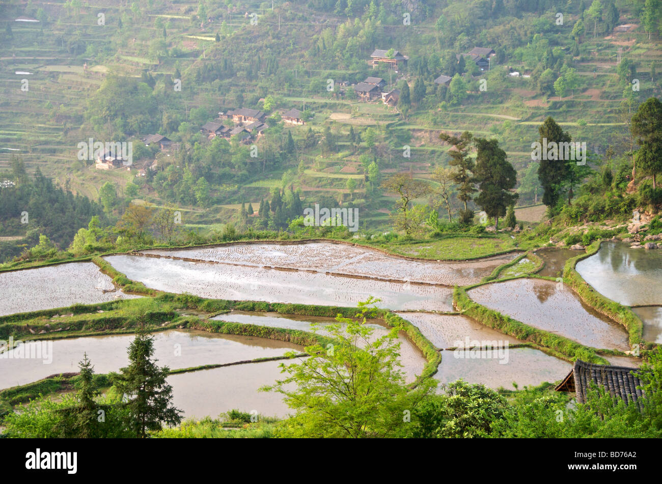 Flooded rice terraces and villages Guizhou Province China Stock Photo ...