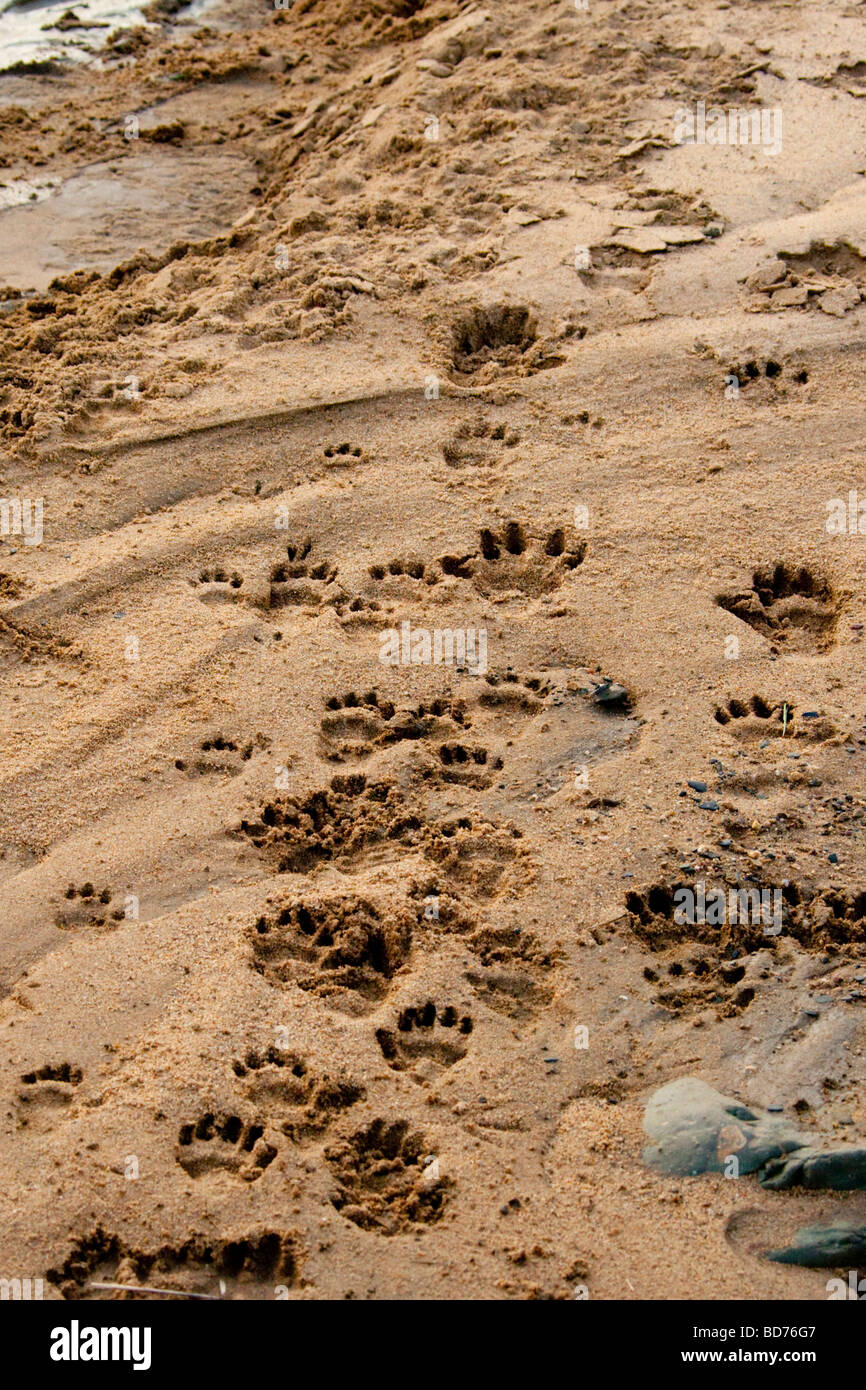 Ezemvelo kzn wildlife hi-res stock photography and images - Alamy