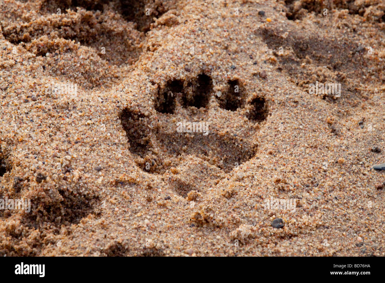 Ezemvelo kzn wildlife hi-res stock photography and images - Alamy