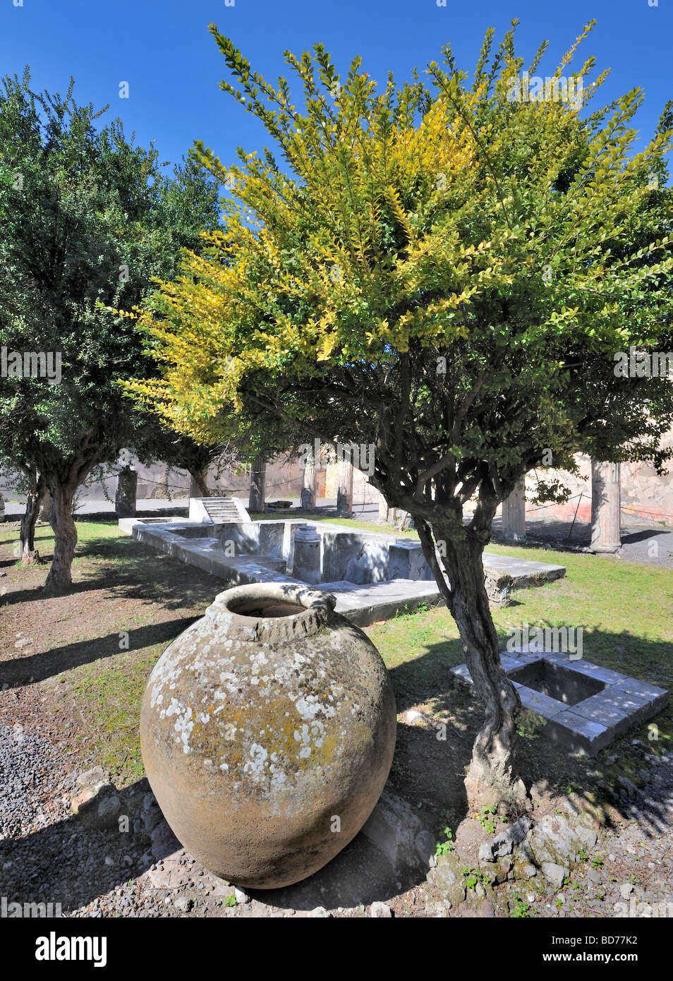 Ancient urn and trees surrounding a swimming pool in villa Stock Photo ...