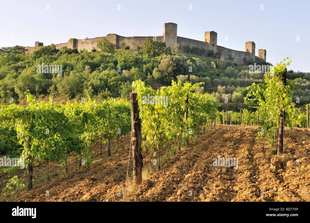 Italian castle and vineyard Stock Photo - Alamy