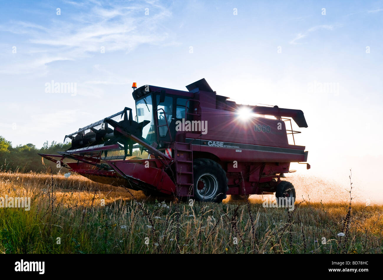 Case International 1660 combine harvester - harvesting crops and dust ...