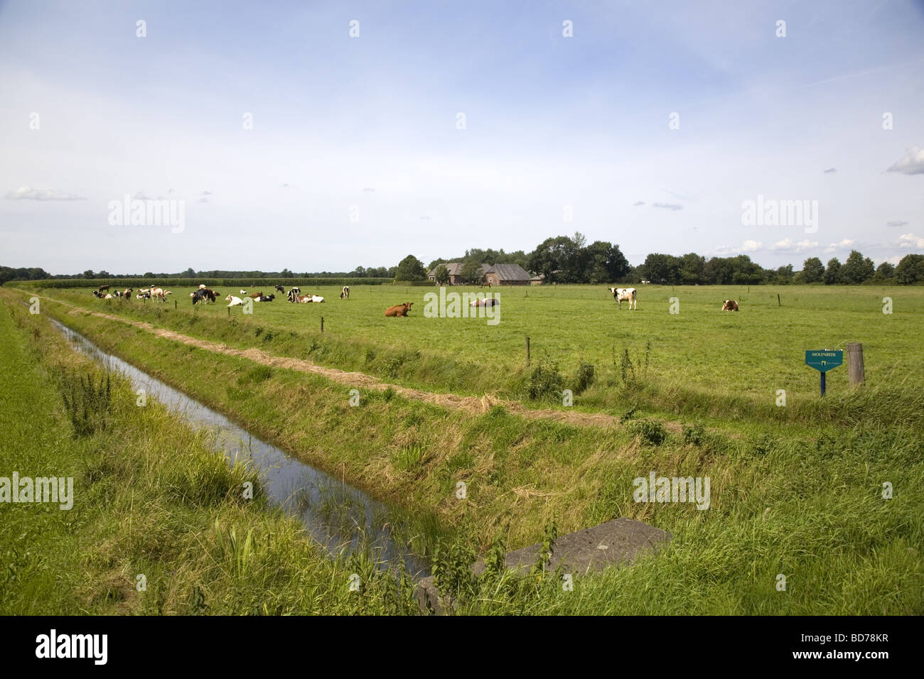 Rural landscape in the eastern part of the Netherlands, Laren ...