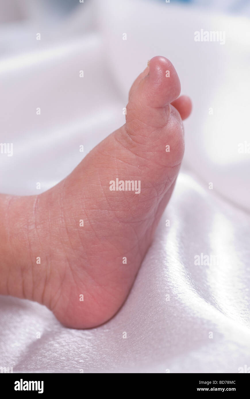 Close up of a newborn baby's foot Stock Photo - Alamy