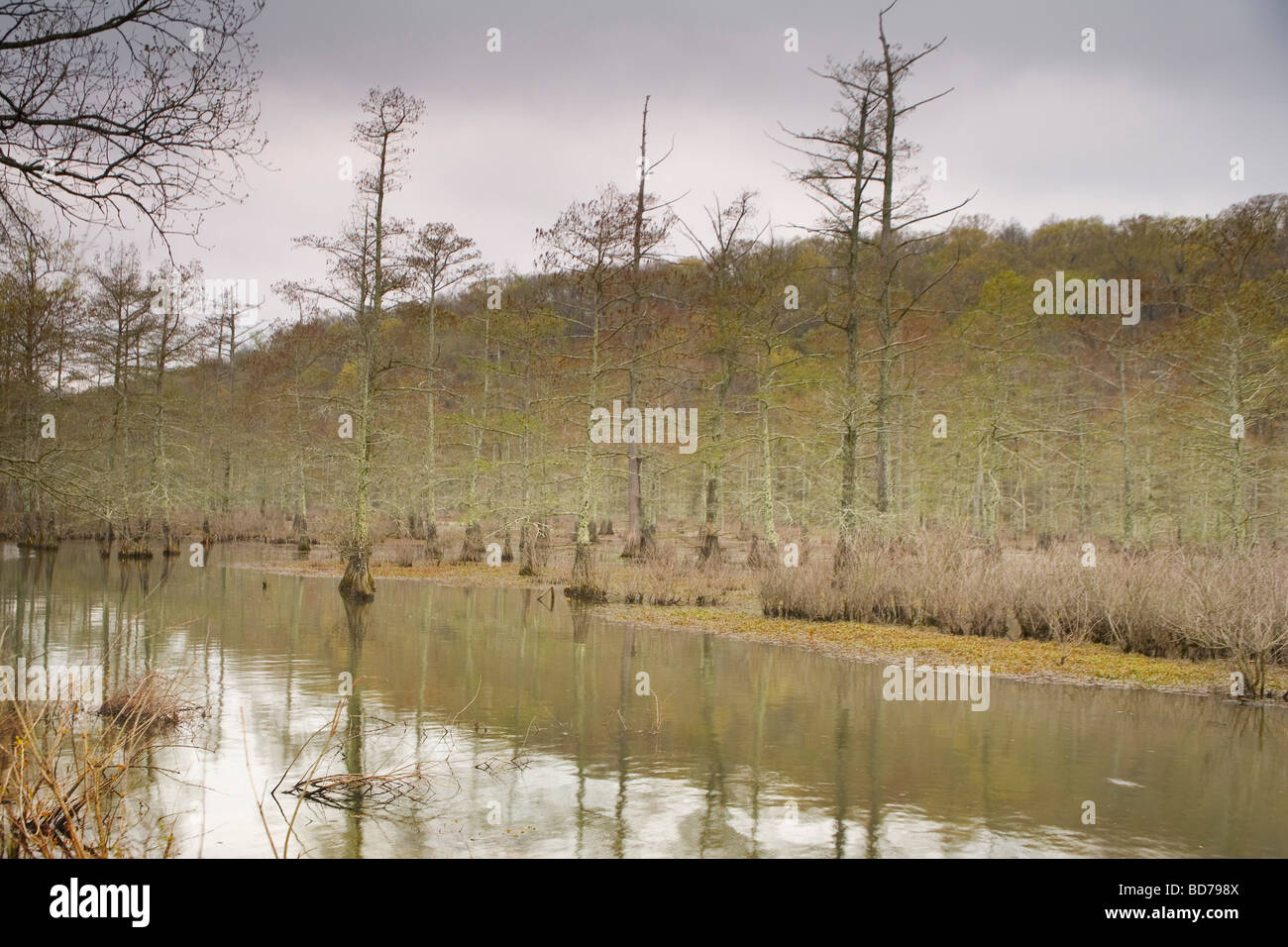 Mingo National Wildlife Refuge Stock Photo - Alamy