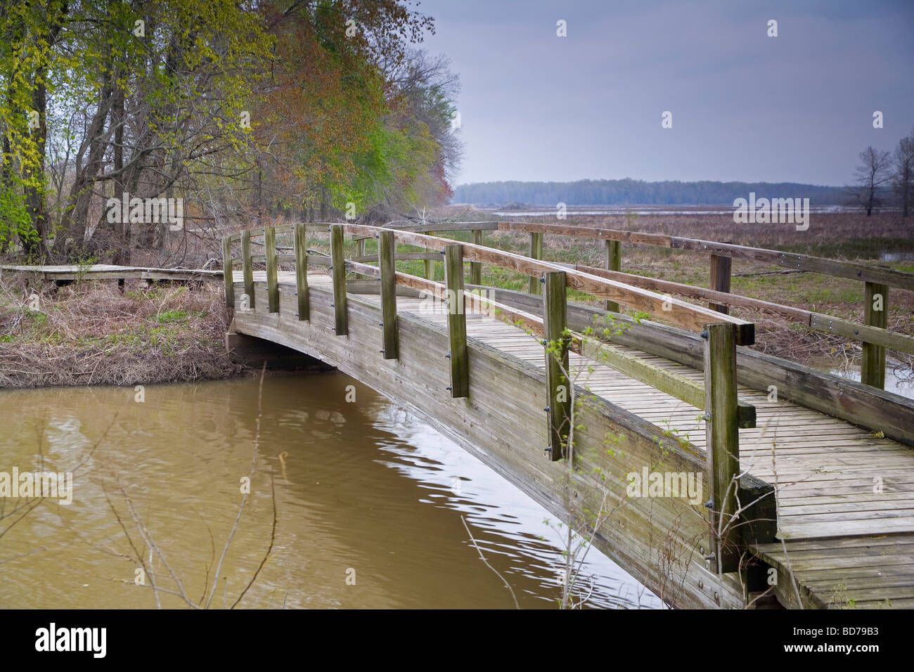 Mingo National Wildlife Refuge Stock Photo - Alamy