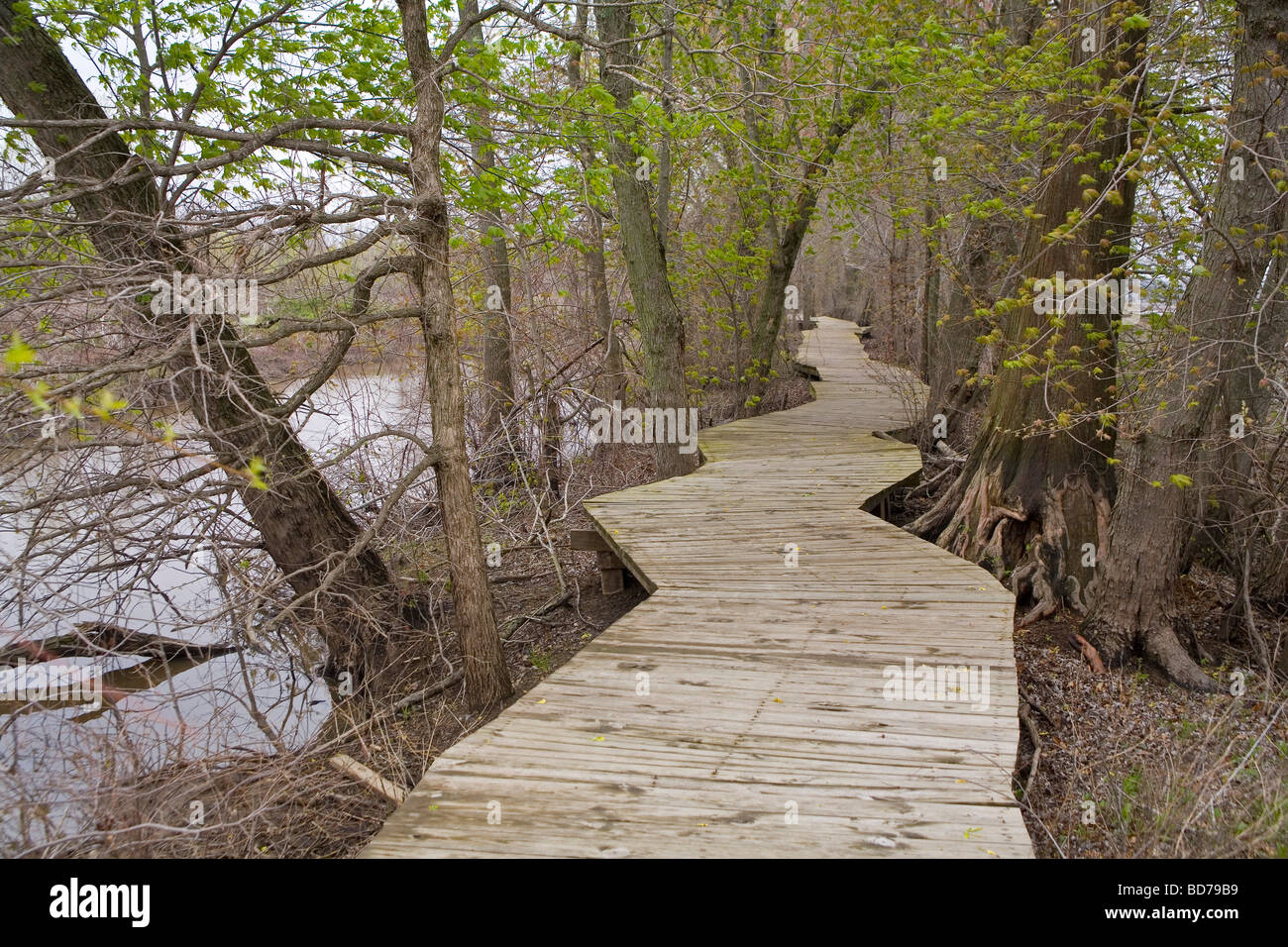 Mingo National Wildlife Refuge Stock Photo - Alamy