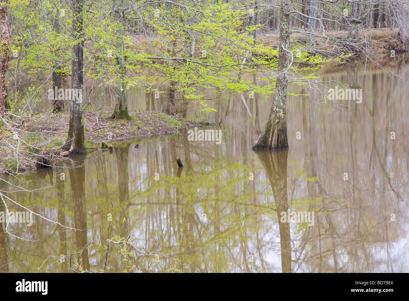 Mingo National Wildlife Refuge Stock Photo - Alamy