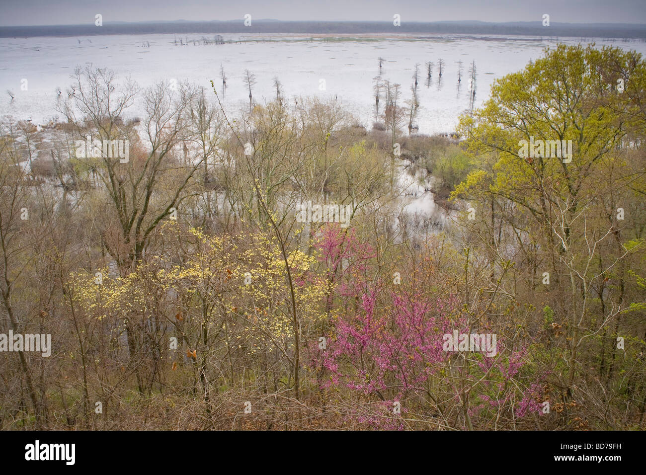 Mingo National Wildlife Refuge Stock Photo - Alamy