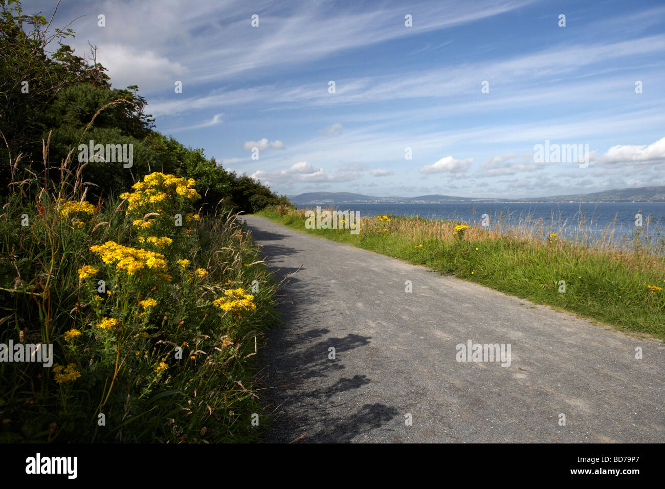 the north down coastal path and cycle route at grey point in belfast ...