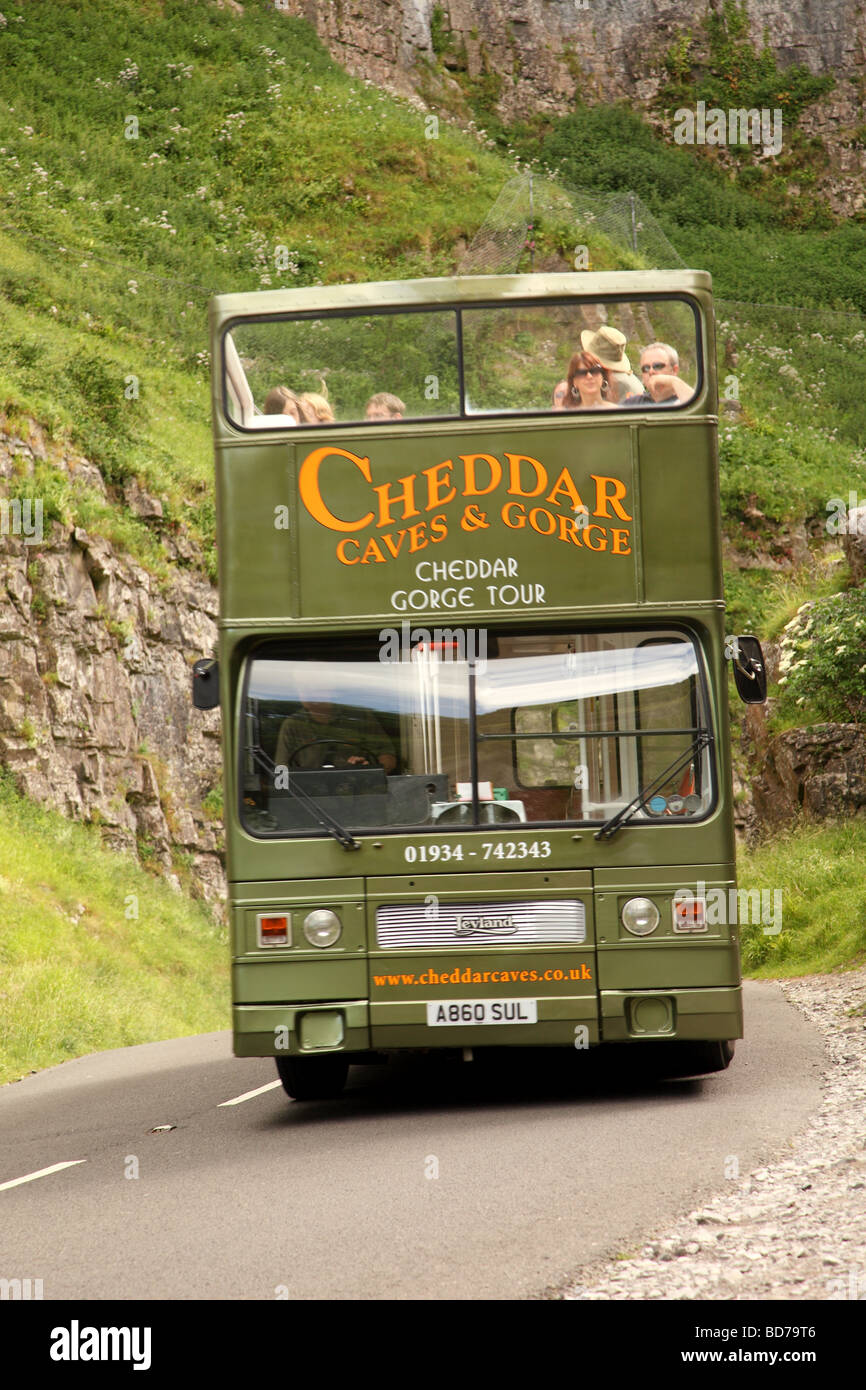 Tourist bus in Cheddar Gorge, Somerset, England Stock Photo - Alamy