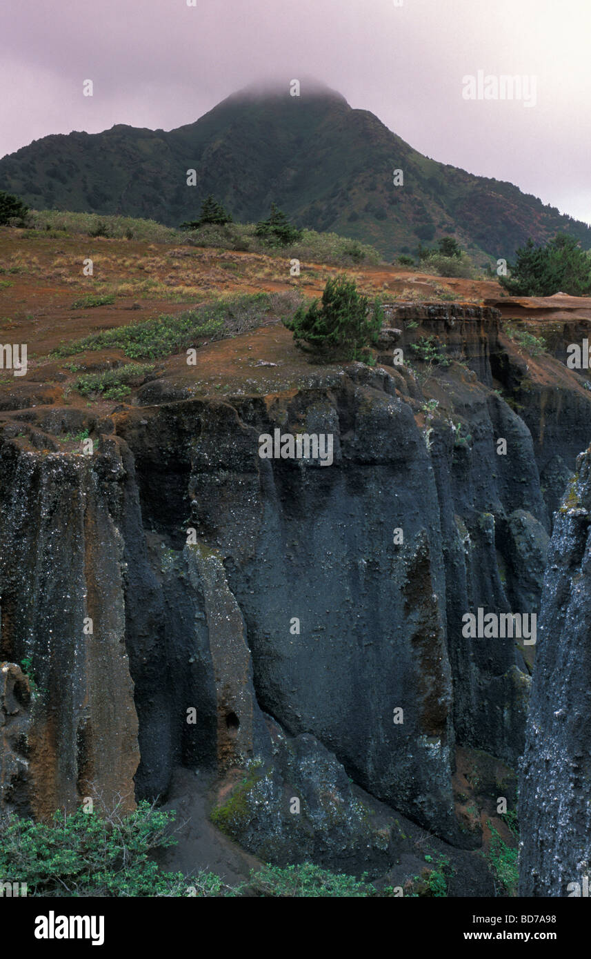 Ashpit High Resolution Stock Photography and Images - Alamy