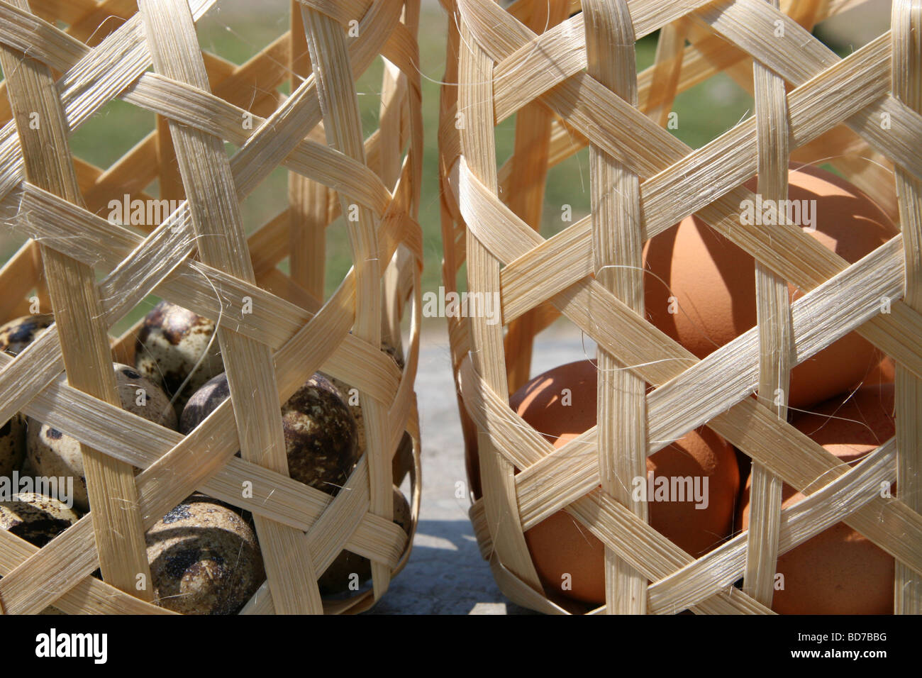 san kamphaeng hot springs,Chiang Mai, Thailand Stock Photo - Alamy