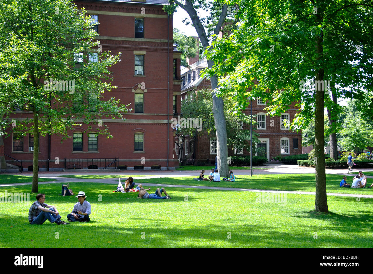 Harvard University campus Stock Photo - Alamy