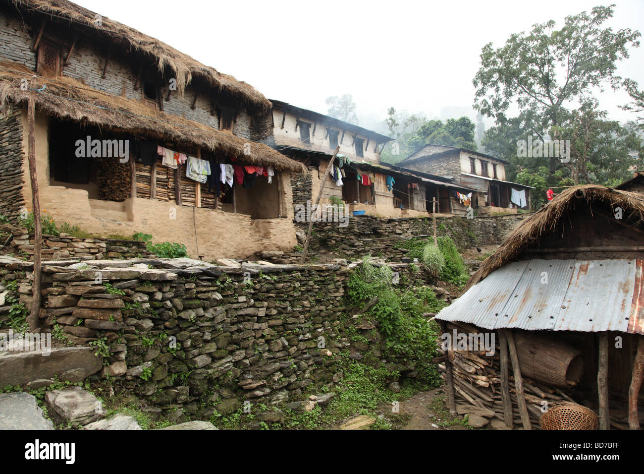 Nepal, Annapurna trek, Himalayas, Tadapani Stock Photo - Alamy