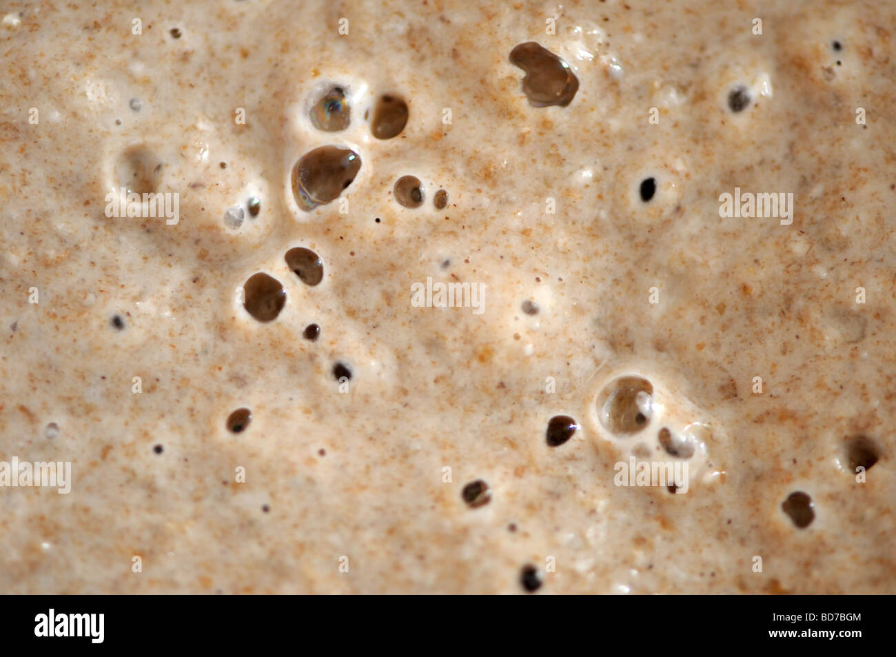 Sponge bread hi-res stock photography and images - Alamy