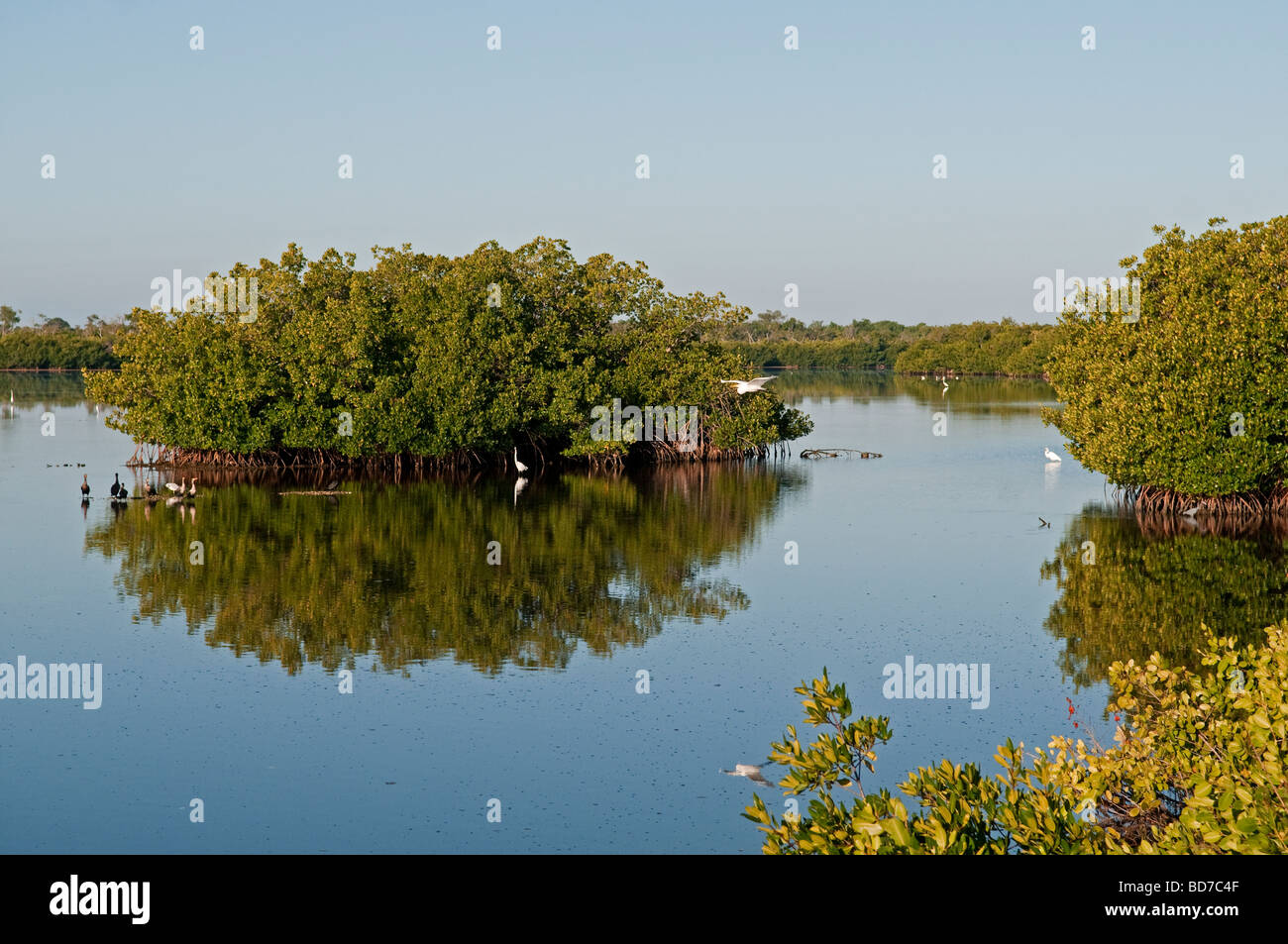 Ding darling nature reserve hi-res stock photography and images - Alamy