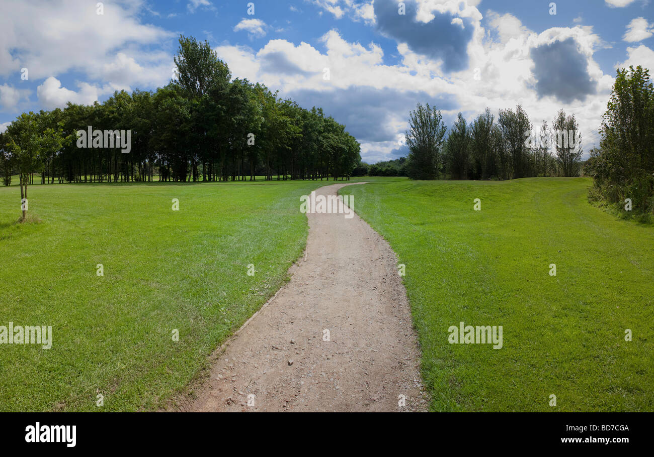 footpath through green field Stock Photo - Alamy