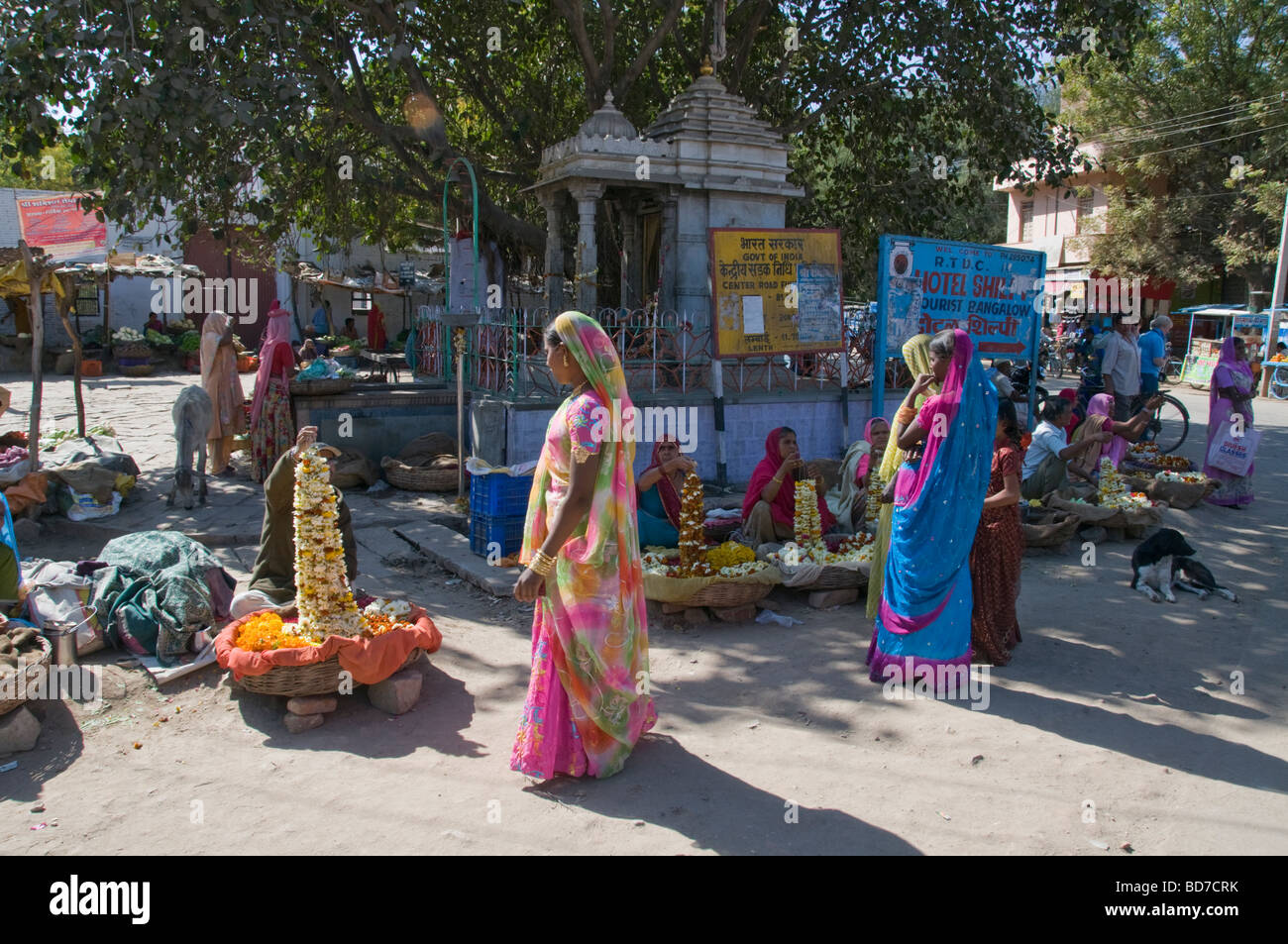 Indian Market Day Scenes, Local Village Town, Narsbad ,Rajasthan, India ...