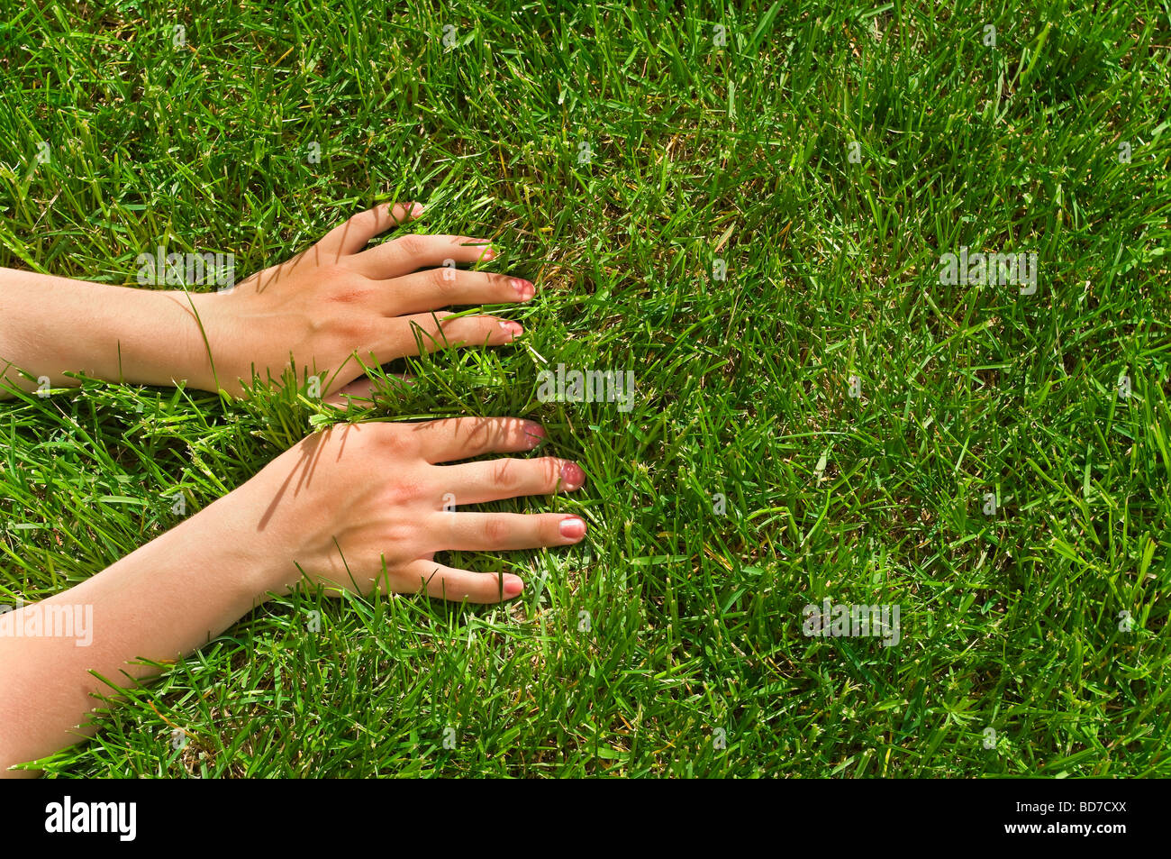 Human hand touching grass hi-res stock photography and images - Alamy
