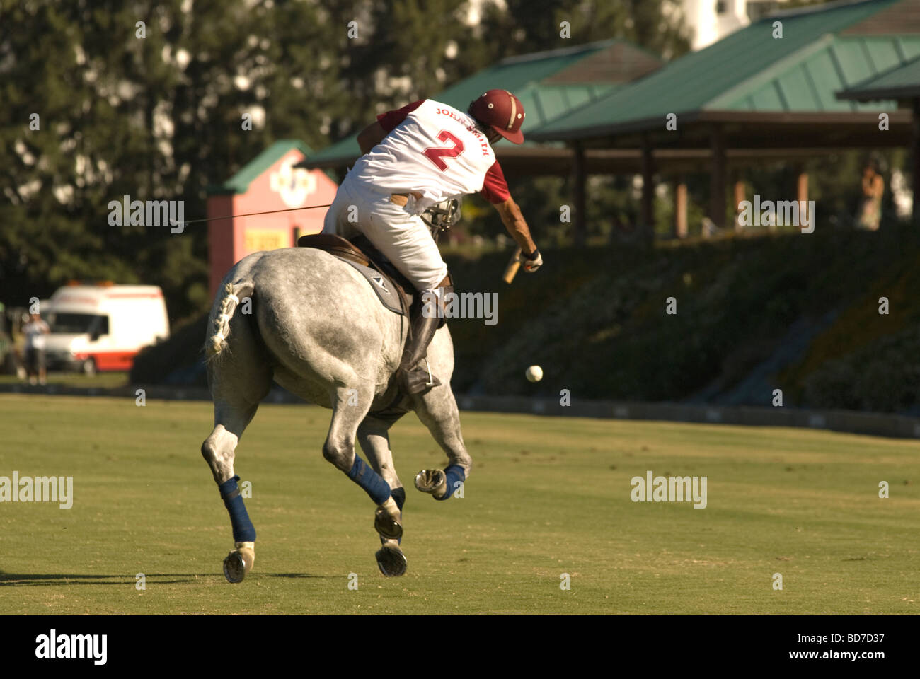 Polo player in action just hitting the ball Stock Photo - Alamy