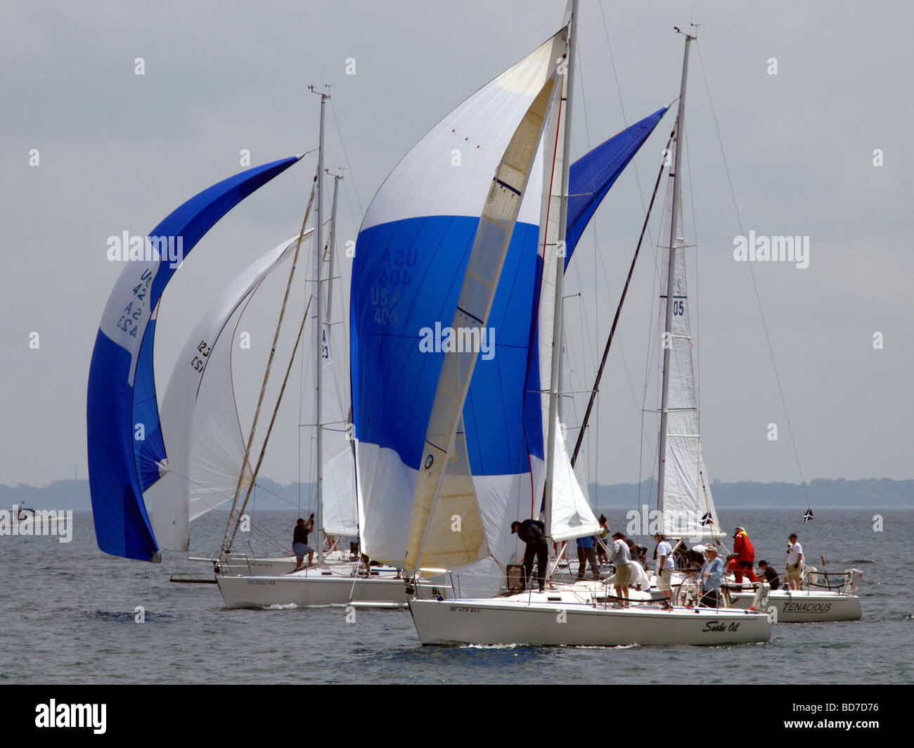 Three yacht team hi-res stock photography and images - Alamy