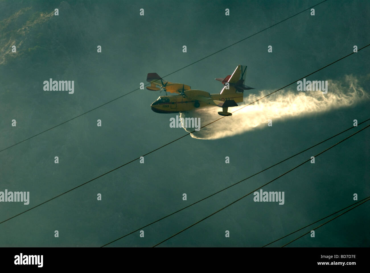 Firefighting aircraft forest hi-res stock photography and images - Alamy