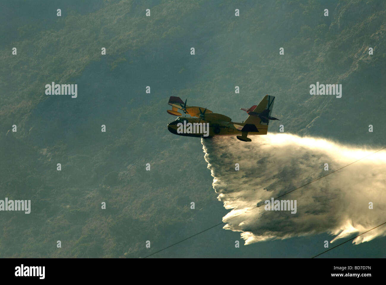Twin engined Canadian firefighting aircraft dropping water onto forest ...