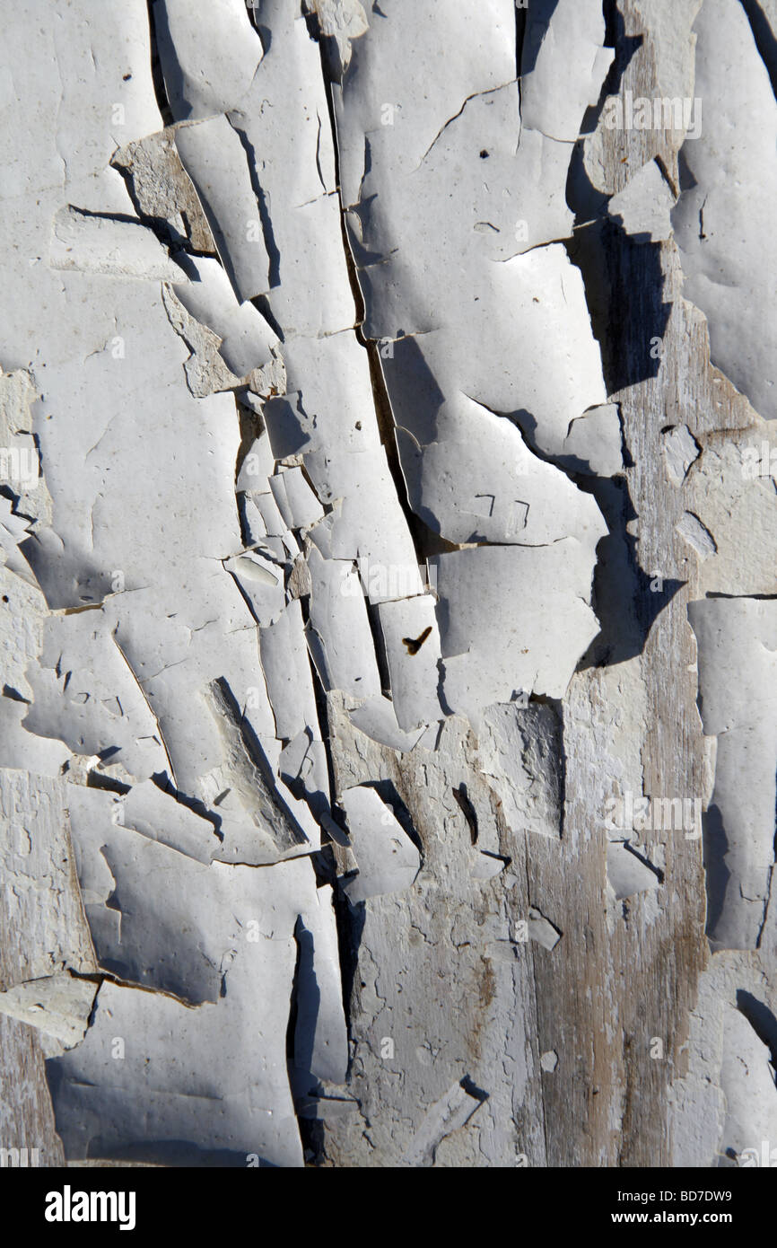 flaking paint on old wooden door surface Stock Photo - Alamy