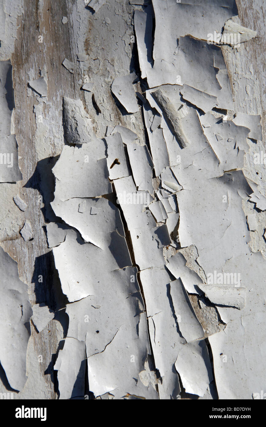 flaking paint on old wooden door surface Stock Photo - Alamy