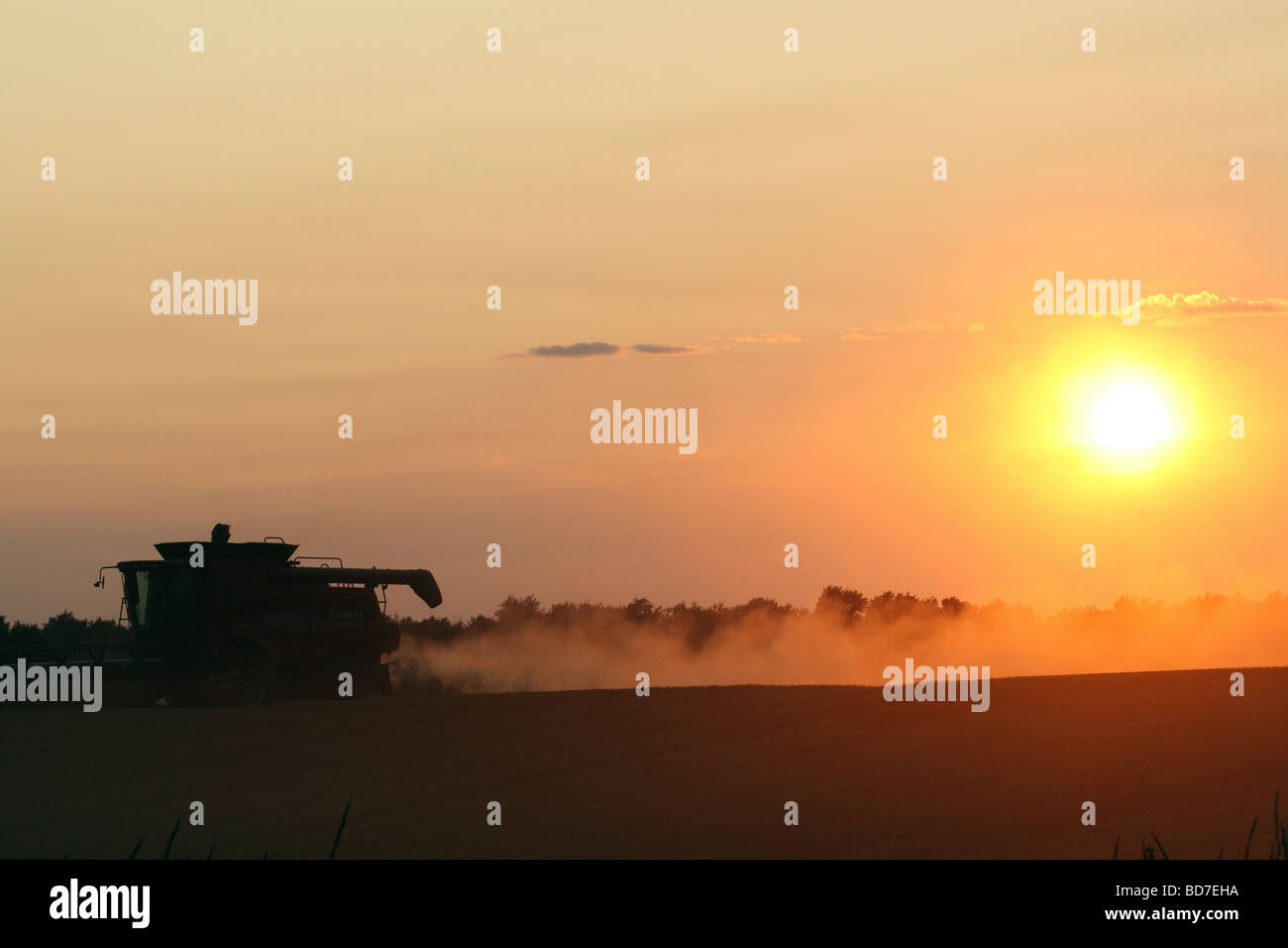 Harvester Cutting Winter Wheat before Sunset in Southwestern Ontario ...