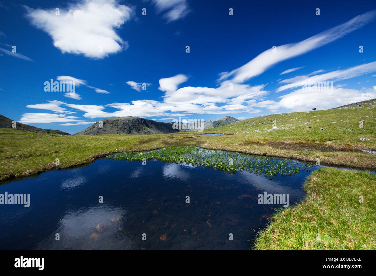Brandreth Rock Pools High Level Footpath To 'Great Gable' In Distance ...