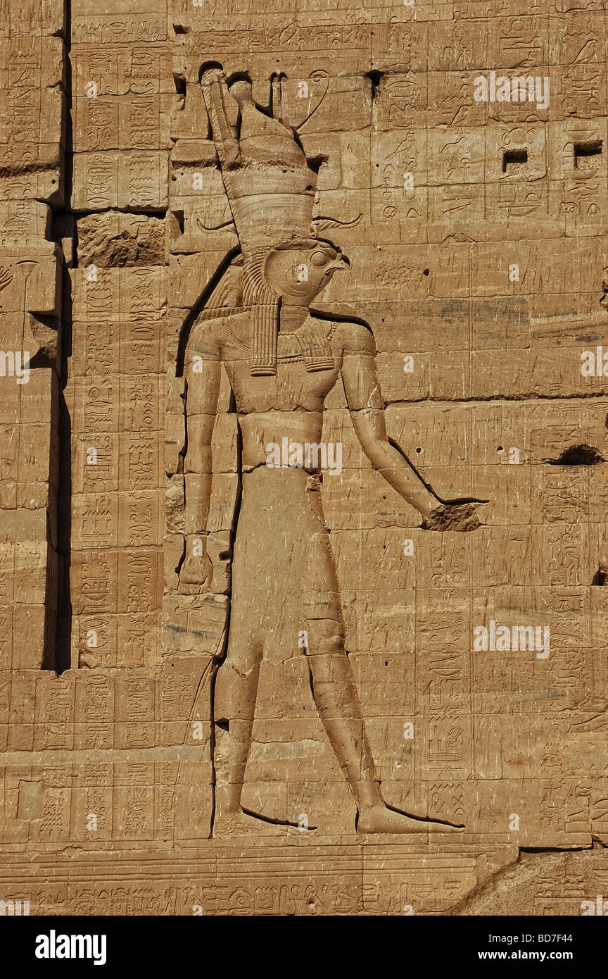 Hieroglyph inscription showing the falcon headed Horus, tutelary deity ...