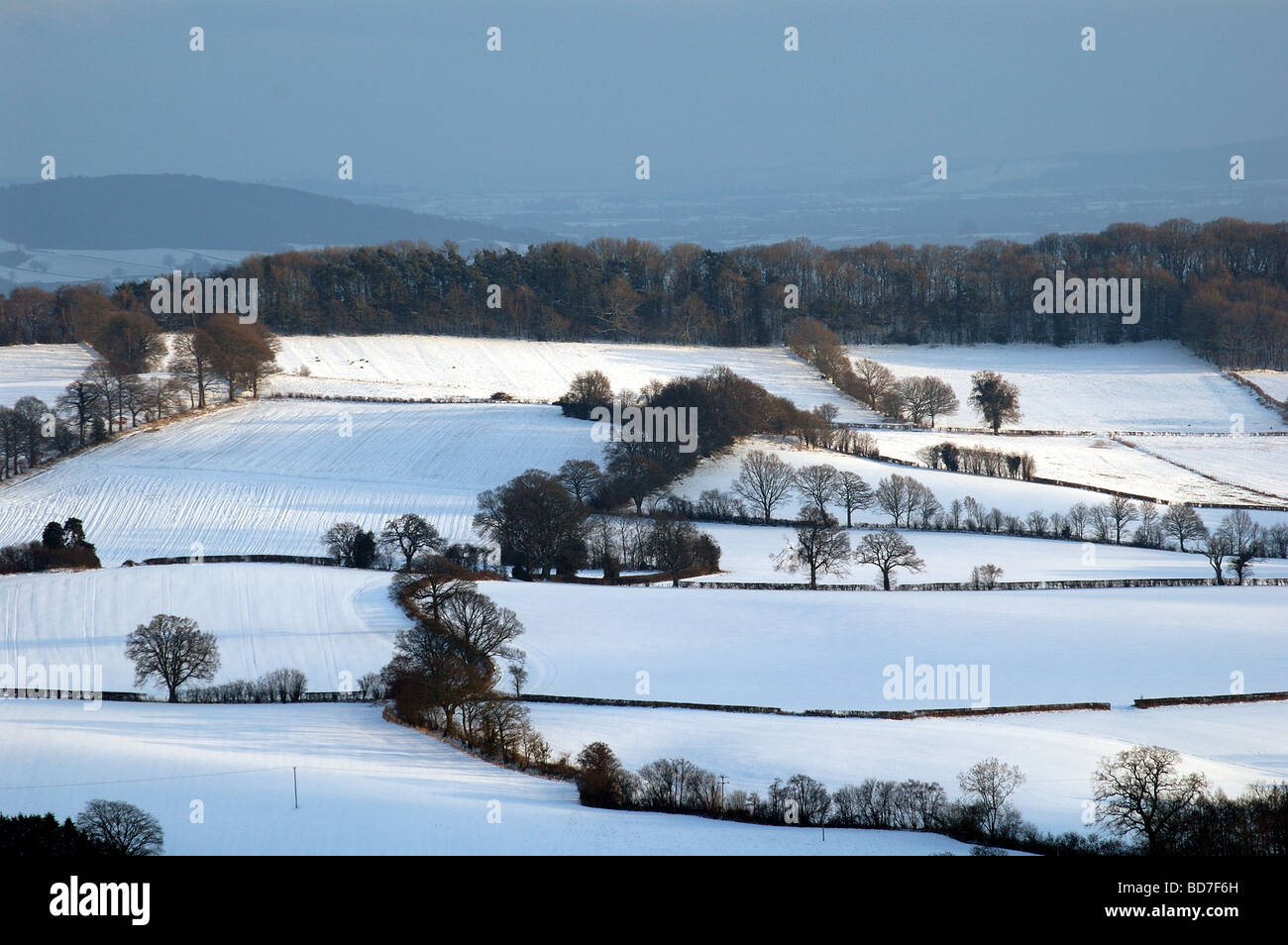 white, snow, landscape Stock Photo - Alamy