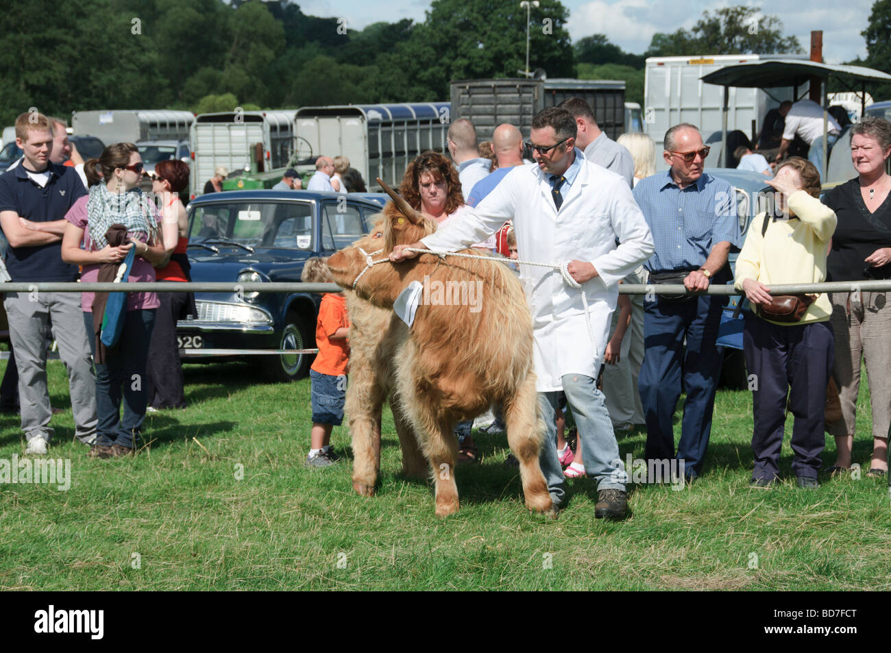 Different scenes on the Ripley Annual Show at Ripley, North Yorkshire ...