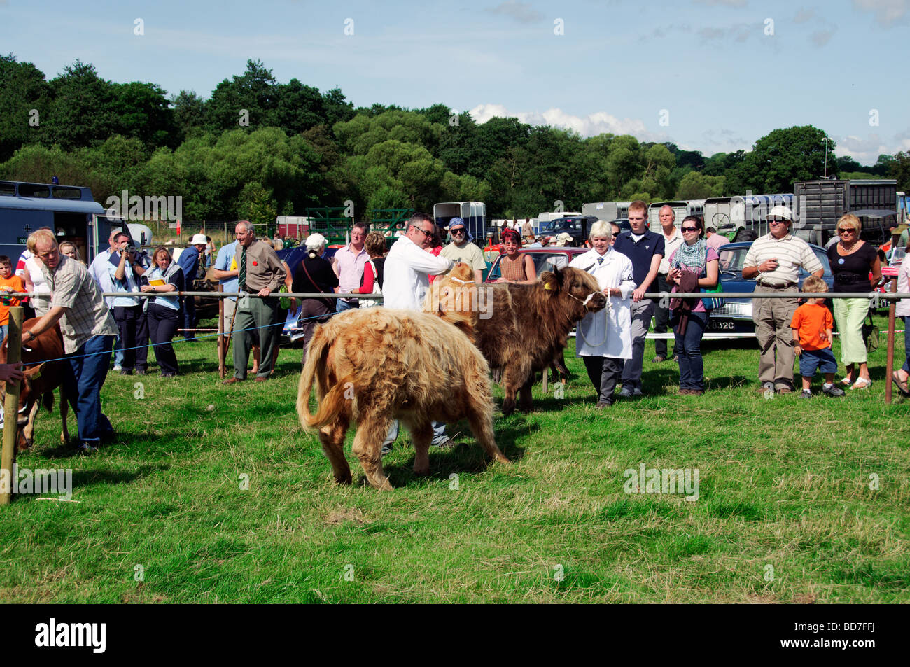 Different scenes on the Ripley Annual Show at Ripley, North Yorkshire ...
