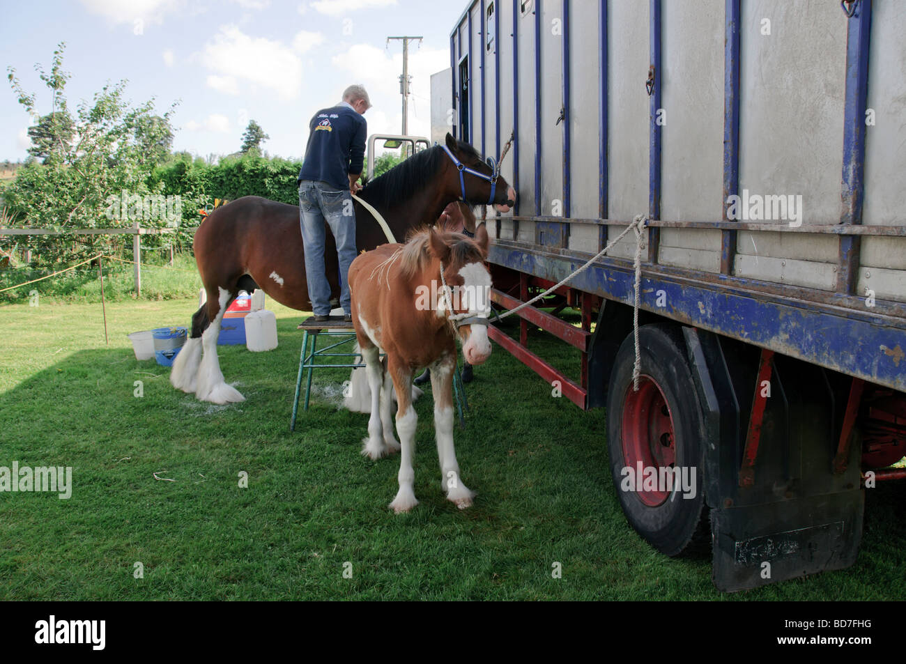 Different scenes on the Ripley Annual Show at Ripley, North Yorkshire ...
