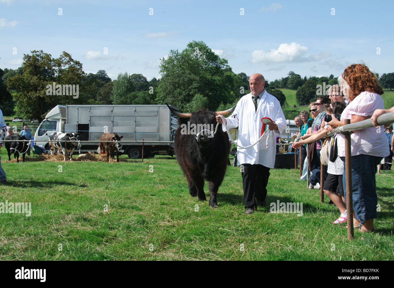 Different scenes on the Ripley Annual Show at Ripley, North Yorkshire ...