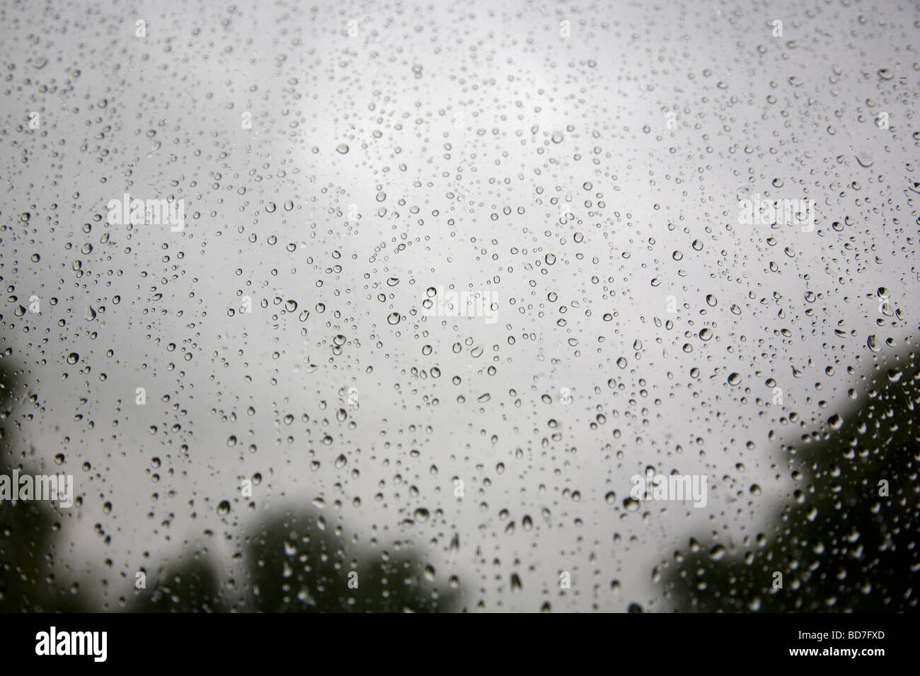 Rain drops on window Stock Photo - Alamy