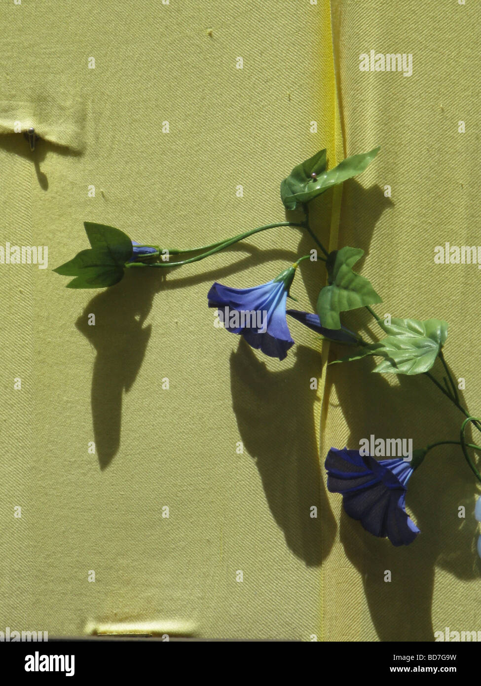 Detail plastic display stand hi-res stock photography and images - Alamy