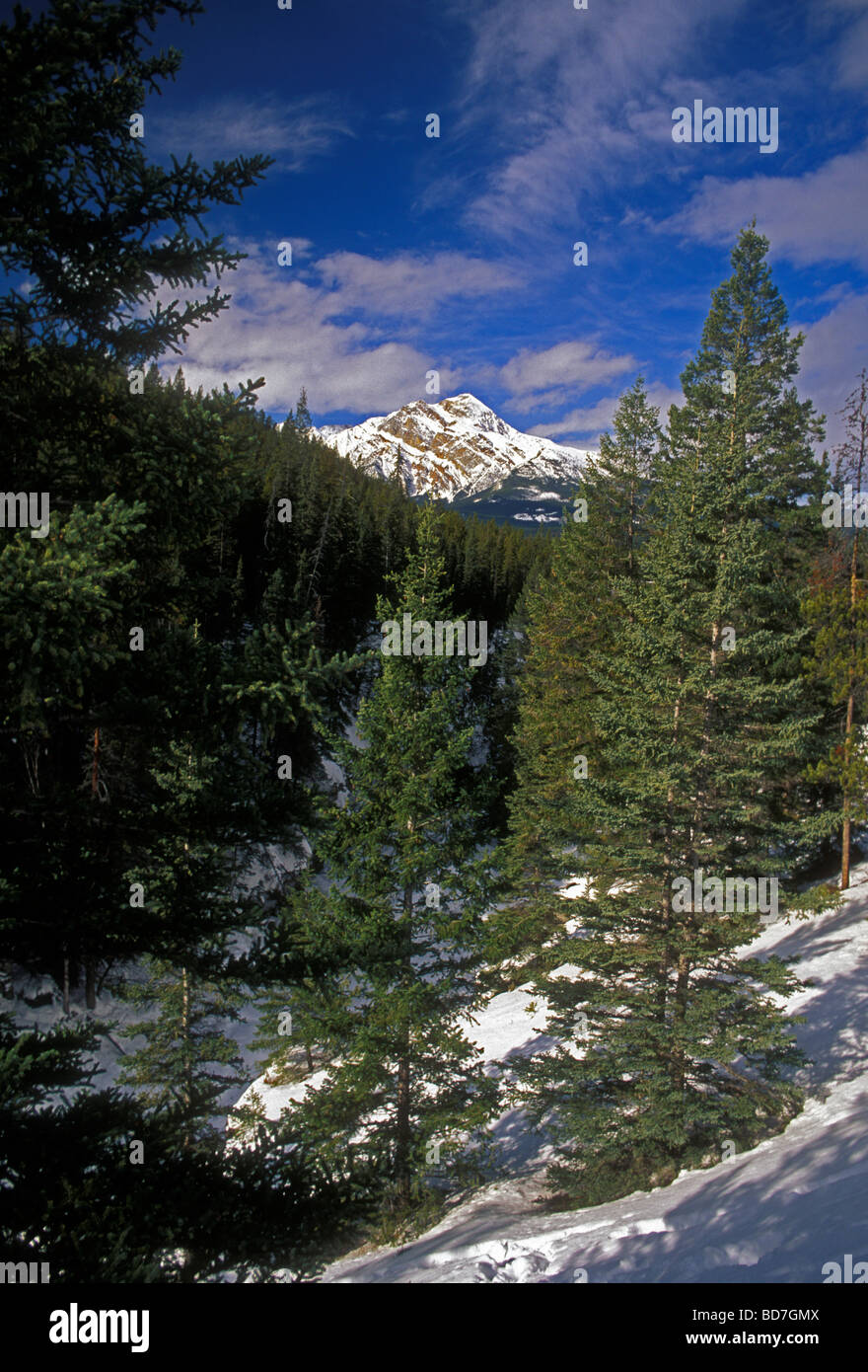 Pyramid Mountain, Canadian Rockies, Jasper National Park, outskirts of ...