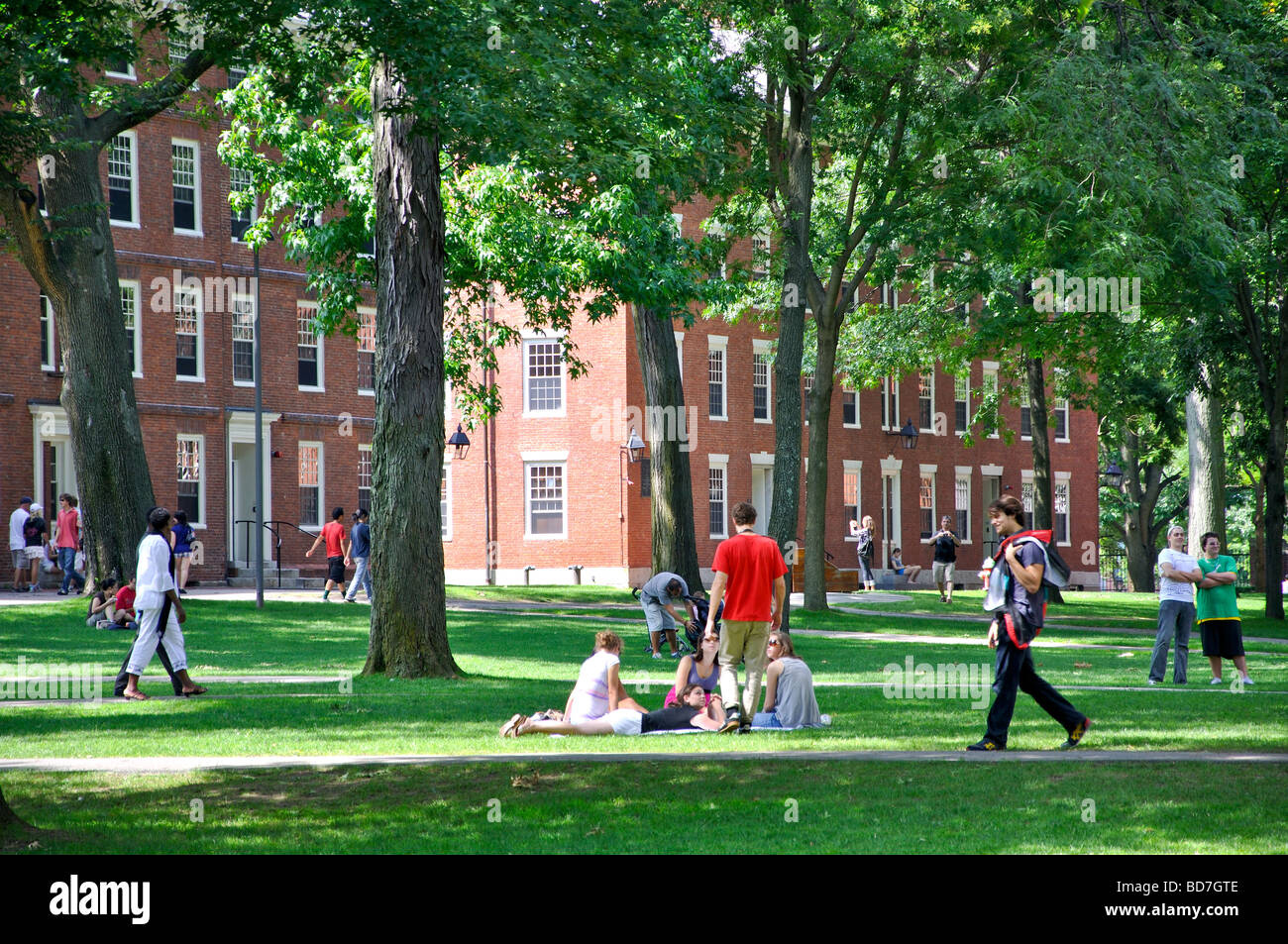 Harvard campus spring hi-res stock photography and images - Alamy
